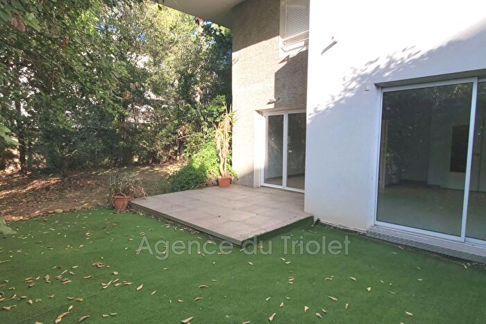 Appartement à louer - Montpellier, Aiguelongue - 4 pièces - 3 chambres