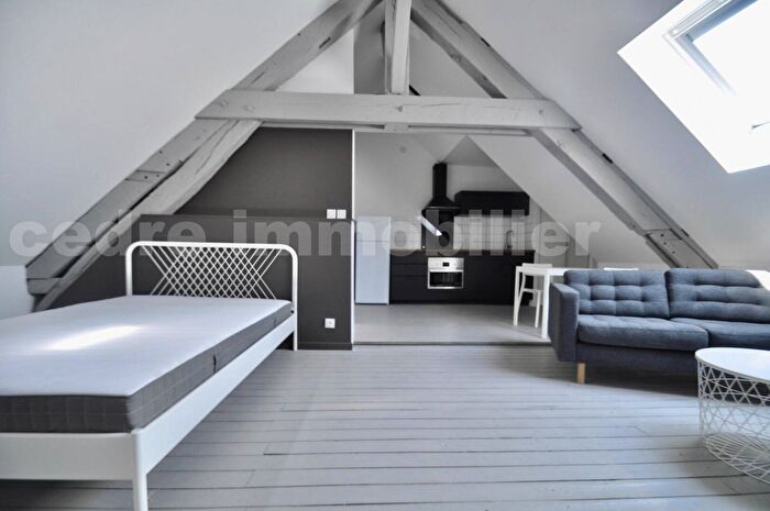 Bourgogne-Pasteur, Orléans - Appartement 1 pièce à louer