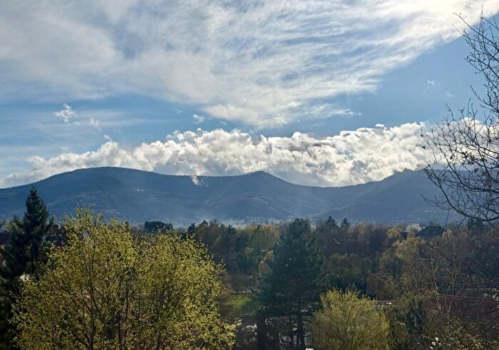 Maison à vendre - Obernai - 8 pièces - 5 chambres