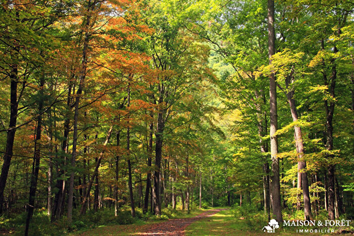 Maison à vendre - Saint-Jean-de-la-Ruelle - 7 pièces