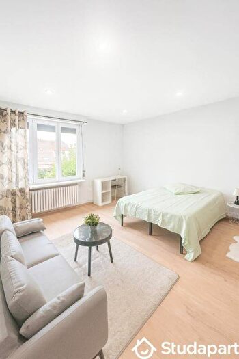 Appartement à louer - Espace Européen de lEntreprise-Mittefeld, Schiltigheim - 1 pièce - 2 chambres