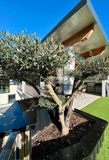 Maison à vendre - Lons - 6 pièces - 5 chambres