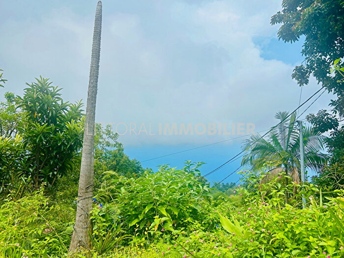 Maison à vendre - Saint-Leu, La Chaloupe, Notre-Dame des Champs - 4 pièces - 3 chambres