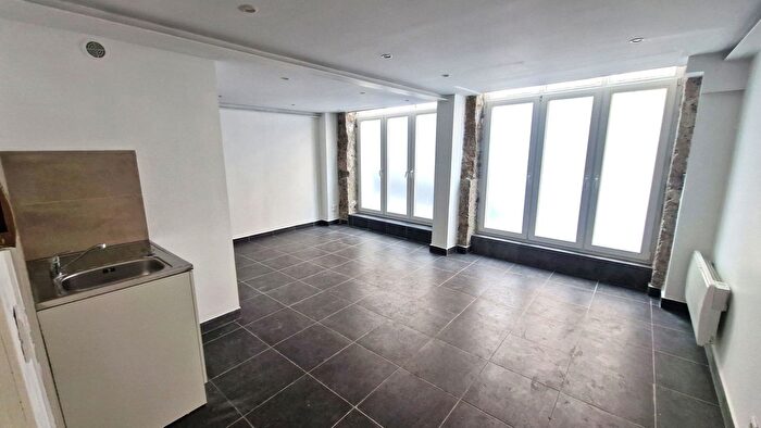 Lyon 1er, Haut, Coeur des Pentes : Appartement 1 pièce à louer