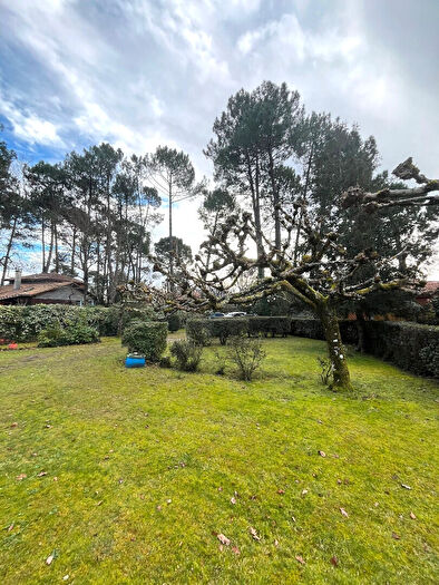 Maison à vendre - Lège-Cap-Ferret - 6 pièces - 4 chambres