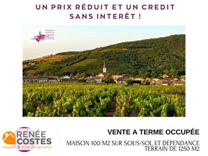 Maison à vendre - Juliénas - 4 pièces - 3 chambres