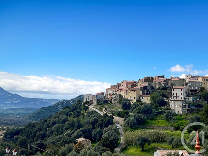 Maison à vendre - Zilia - 6 pièces - 4 chambres