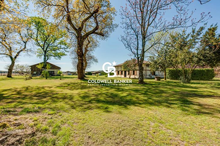 Maison 10 pièces à Rion-des-Landes, à vendre