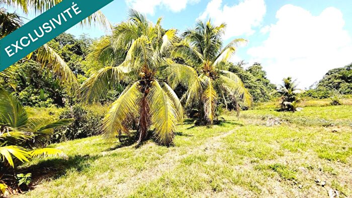 Maison à vendre - Matoury - 3 pièces - 2 chambres