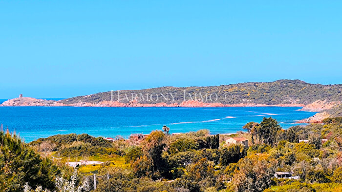 Maison à vendre - Cargèse - 8 pièces - 6 chambres