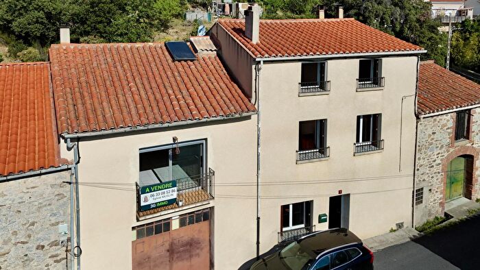 Bélesta : Maison 9 pièces à vendre