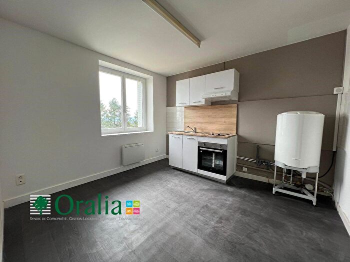 Panissières - Appartement 2 pièces à louer