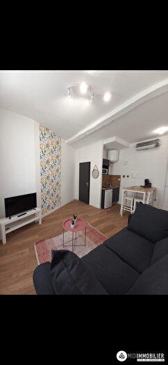 Albi - Appartement 2 pièces à louer