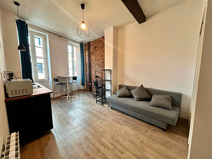 Appartement à louer - Toulouse, Busca, Jardin des plantes, Port Saint-Sauveur - 1 pièce