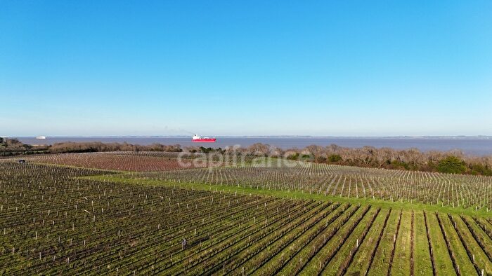 Maison à vendre - Saint-Yzans-de-Médoc - 12 pièces - 3 chambres