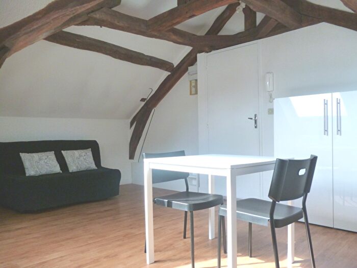 Orléans, Cathédrale, Jeanne dArc : Appartement 1 pièce à louer