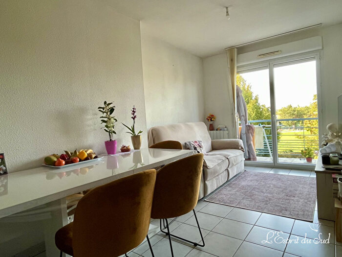 Appartement à louer - Gaillac - 2 pièces - 1 chambre