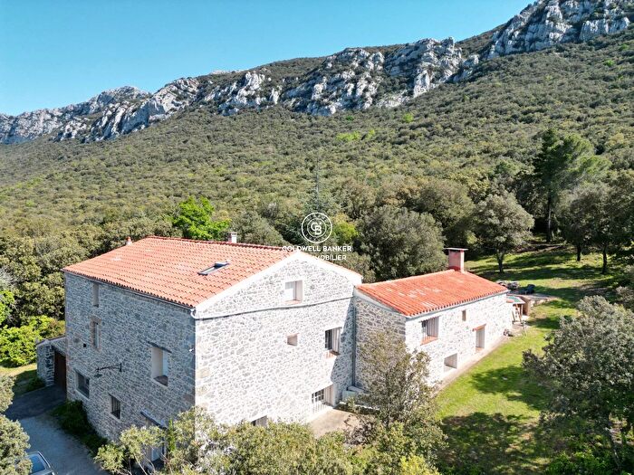 Maison à vendre - Saint-Paul-de-Fenouillet - 9 pièces - 7 chambres