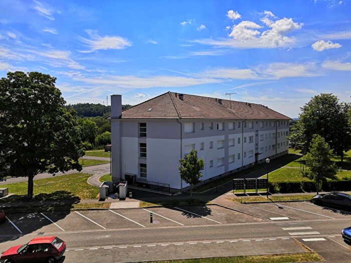 Mirecourt : Appartement 1 pièce à louer