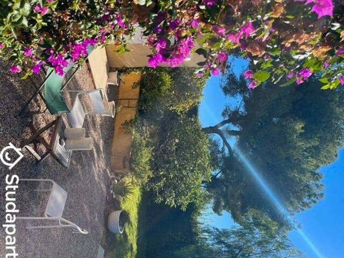 Bois Fleuri-Chevre d'Or-Saint Philippe, Biot : Appartement 1 pièce à louer
