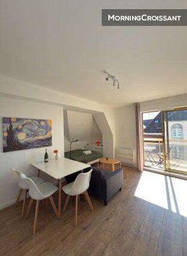 Robertsau Centre, Strasbourg : Appartement 1 pièce à louer