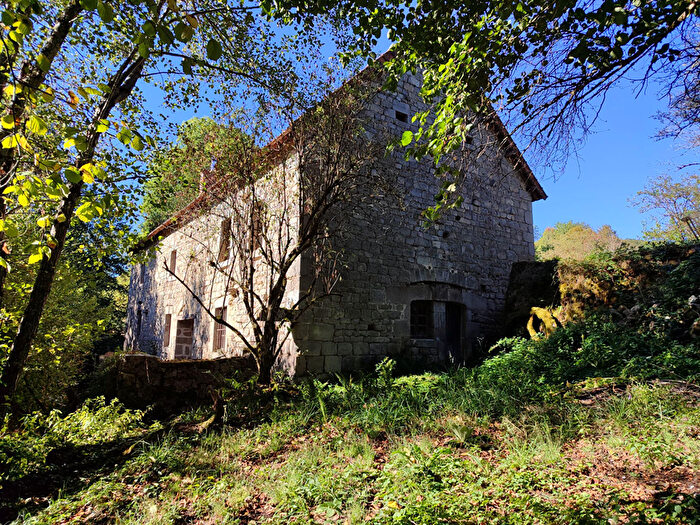 Maison 12 pièces à Saint-Avit-de-Tardes, à vendre