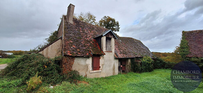 Maison à vendre - Mesland - 3 pièces
