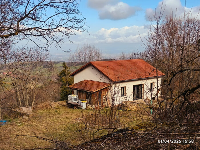 Maison à vendre - Chazelles-sur-Lavieu - 3 pièces - 2 chambres