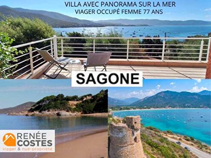 Maison à vendre - Vico - 3 pièces - 2 chambres