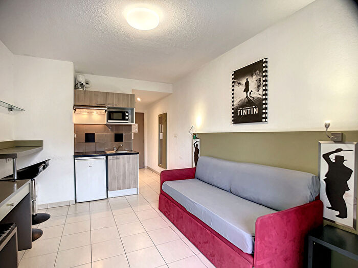 Antibes, Rabiac, Carriat, Les Semboules, Les Brusquets : Appartement 1 pièce à vendre