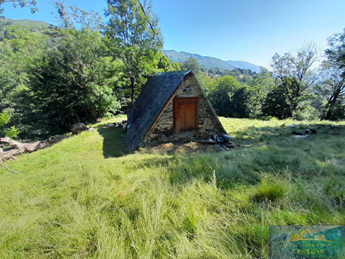 Maison à vendre - Arrens-Marsous - 1 pièce - 1 chambre