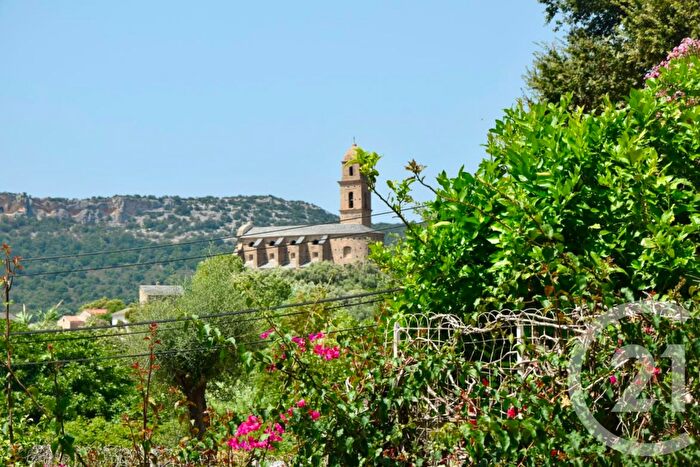 Maison 8 pièces à vendre - Patrimonio