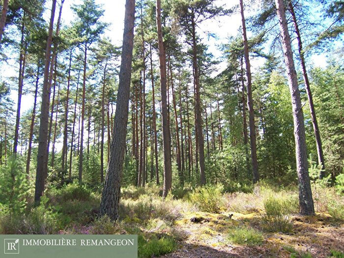 Maison à vendre - Romorantin-Lanthenay, Centre-ville