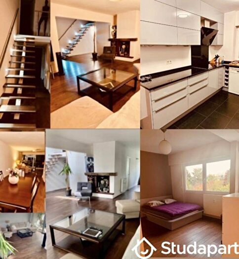 Appartement à louer - Les Blagis, Bourg-la-Reine - 1 pièce - 1 chambre