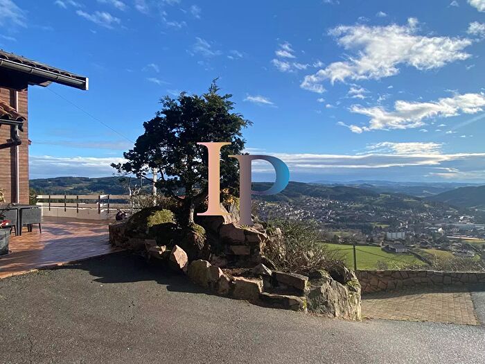 Maison à vendre - Cours-la-Ville - 10 pièces - 6 chambres