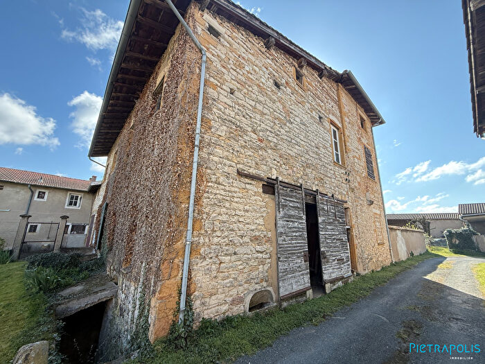 Maison 3 pièces à vendre à Saint-Didier-de-Formans