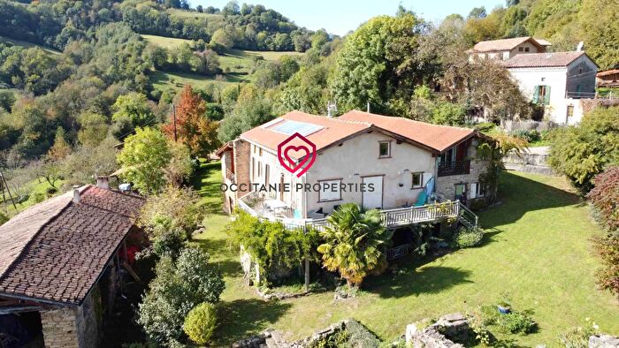 Maison à vendre - Esplas-de-Sérou - 10 pièces - 1 chambre