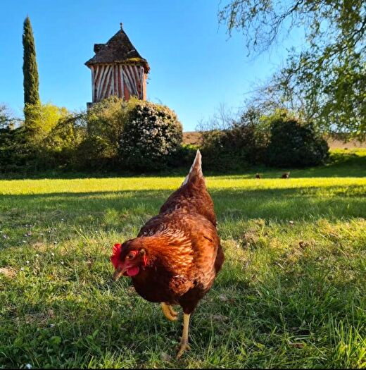 Maison 14 pièces à Pinel-Hauterive, à vendre
