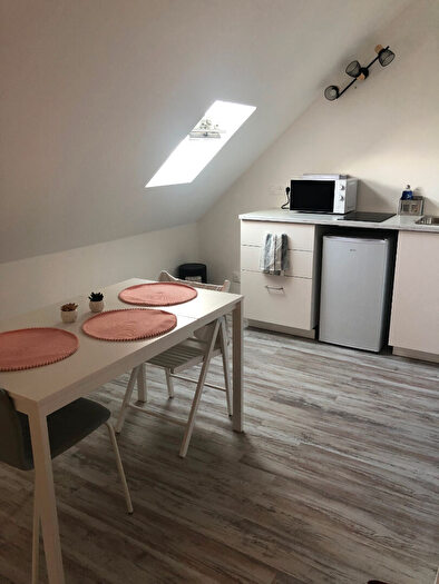 Appartement à vendre - Schiltigheim - 1 pièce