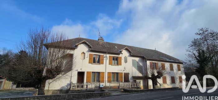 Maison à vendre - Saint-Paul-lès-Monestier - 15 pièces - 4 chambres