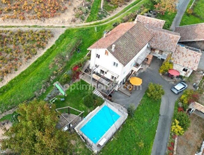 Maison à vendre - Saint-Didier-sur-Beaujeu - 12 pièces