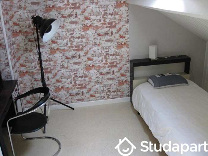 Appartement à louer - Grand Pigeon-Deux Croix-Banchais, Angers - 1 pièce - 1 chambre