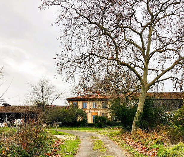 Maison à vendre - Vic-Fezensac - 7 pièces - 5 chambres