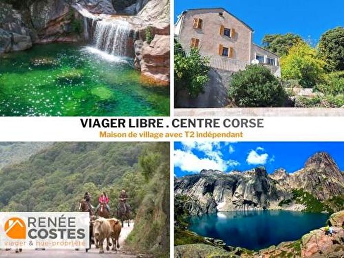 Maison à vendre - Corte - 6 pièces - 6 chambres