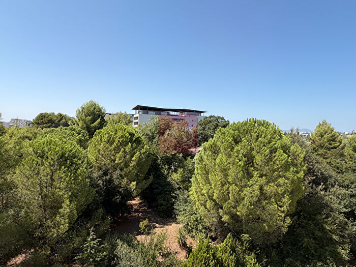 Appartement 4 pièces à louer - Montpellier, Port Marianne, Richter