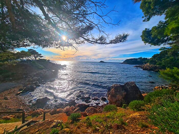 Maison à vendre - Bandol - 2 pièces - 1 chambre