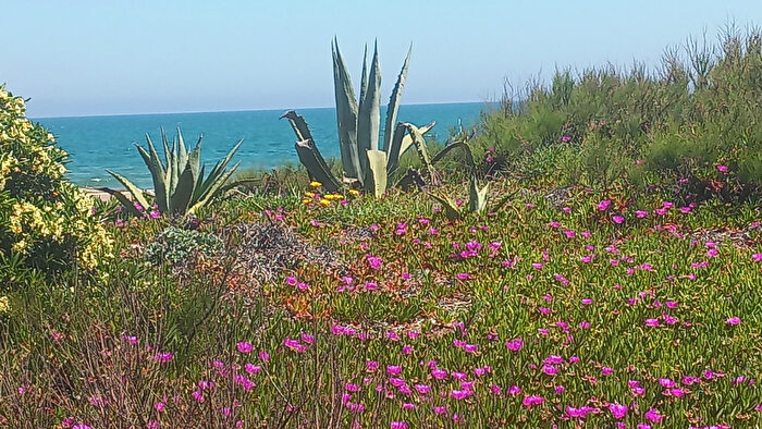Appartement à vendre - Le Barcarès, Le Lido, Le Port - 1 pièce