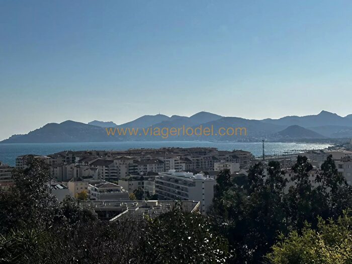 Appartement 3 pièces à vendre à Cannes, Croix des Gardes