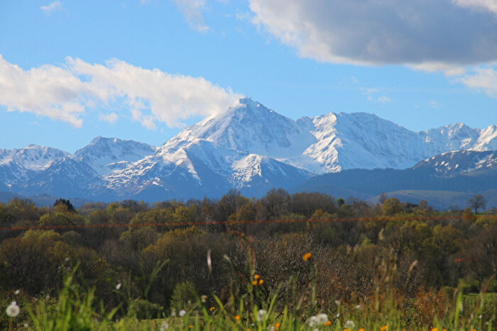 Maison à louer - Momères - 6 pièces - 4 chambres