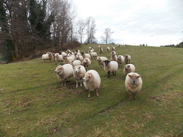Maison à vendre - Marval - 5 pièces - 3 chambres